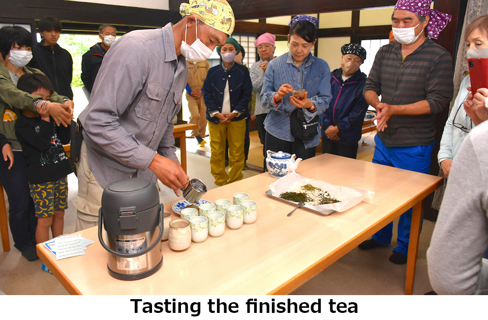 Tea picking experience event at Ohito Farm – MOA International
